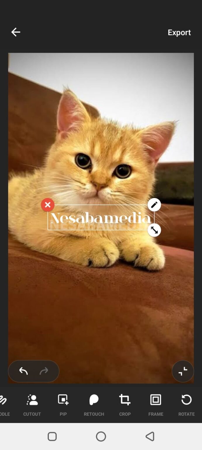 InShot Pro MOD APK – Desember 2024 (Premium Unlocked)