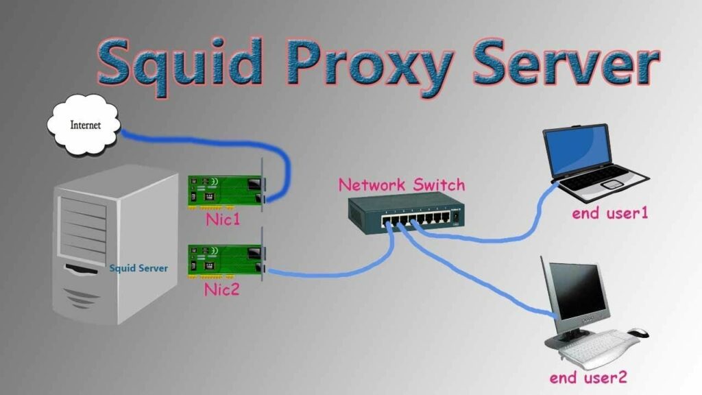 Apa Itu Squid? Mengenal Pengertian Squid Proxy Server