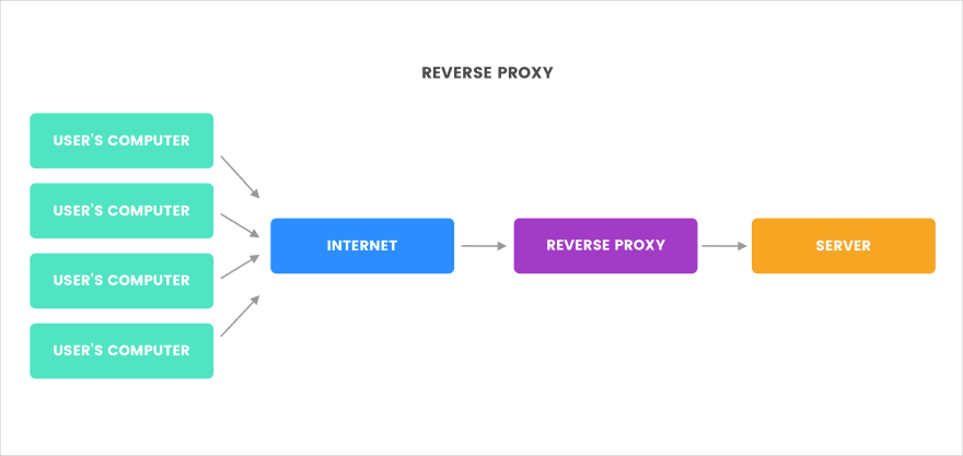 Apa Itu Squid? Mengenal Pengertian Squid Proxy Server