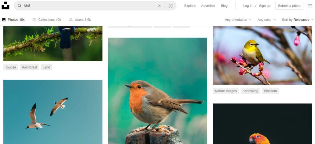 15+ Rekomendasi Situs Download Foto HD Gratis (Terlengkap)