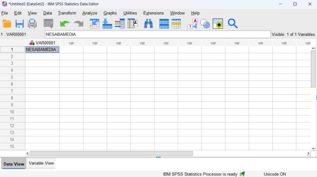 Download IBM SPSS 27 for Windows (Free Download)